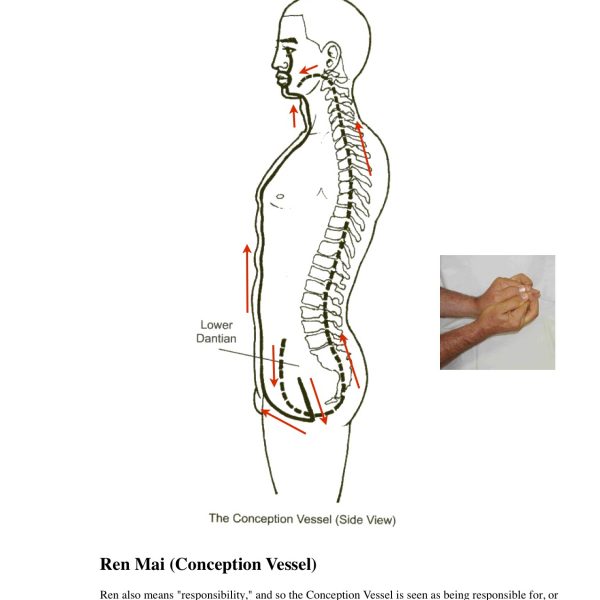Mikkyo, the Secret Teachings – Energiebewegung